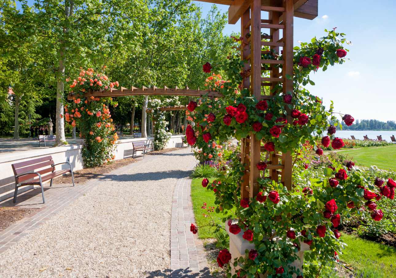 The Ultimate Guide to Lake Balaton in Hungary - The Amazing Traveler