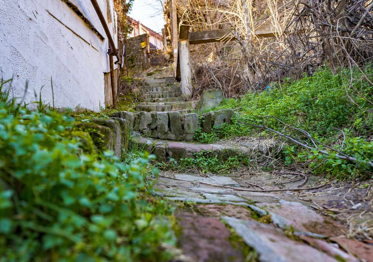 Hiking in Belgrade - 14 Best Urban Trails & Nearby Day Treks - The ...